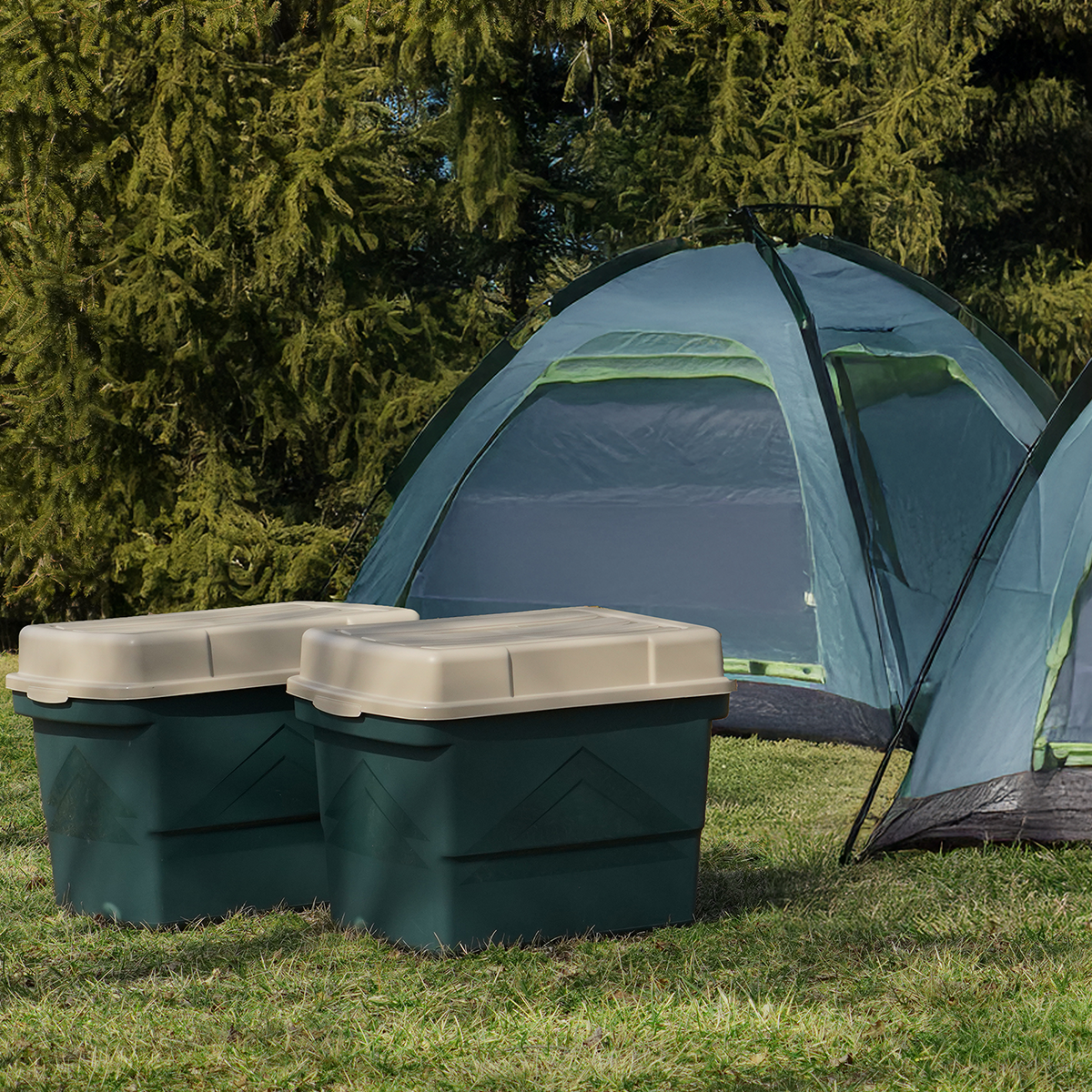 Hi Top - Edge Plastic
